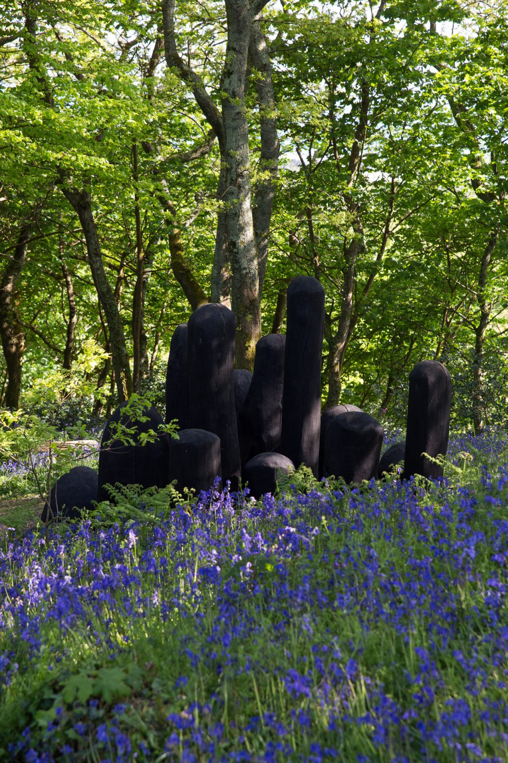 Guided Garden Tour | Tremenheere Sculpture Gardens